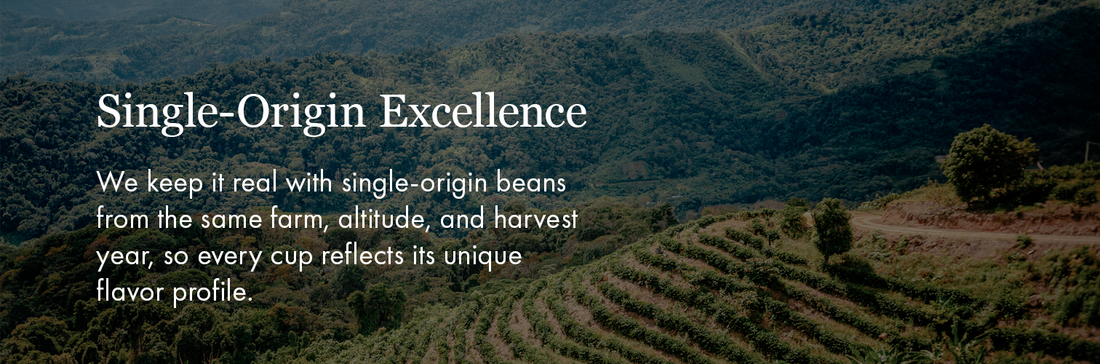 1775 Medium Roast - Premium Coffee Collection | 1775 Coffee Company