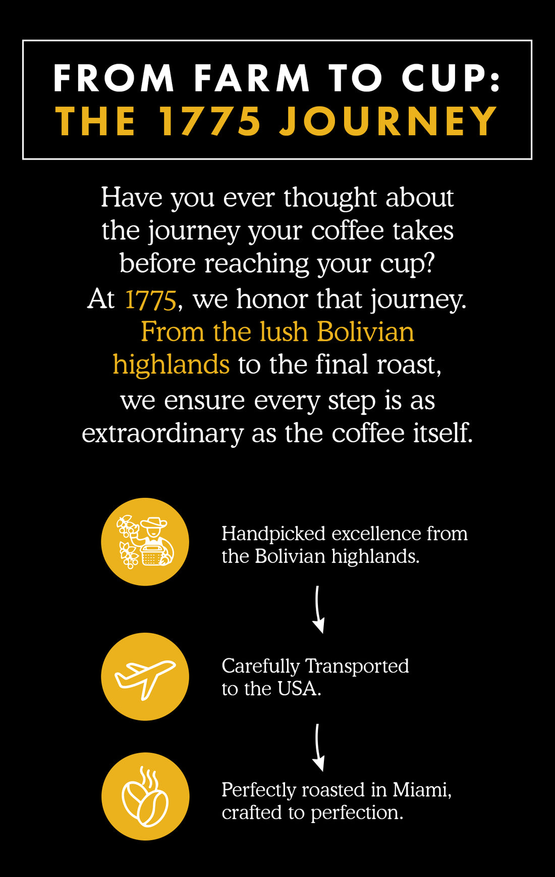 1775 Medium Roast - Premium Coffee Collection | 1775 Coffee Company