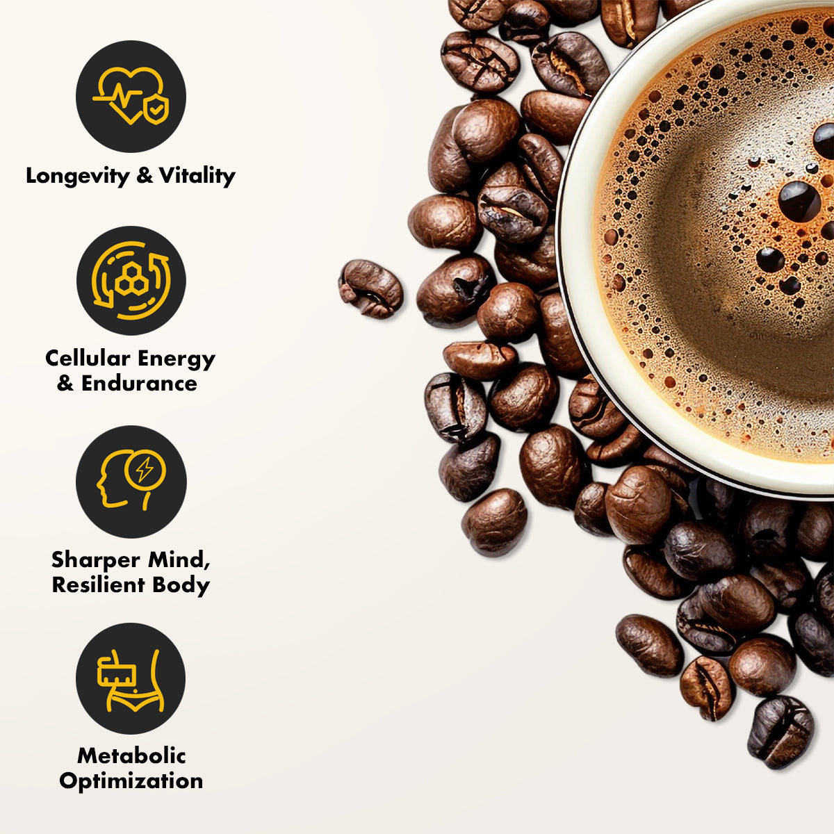 Rejuvenate Anti-Aging Coffee – 1775 Coffee