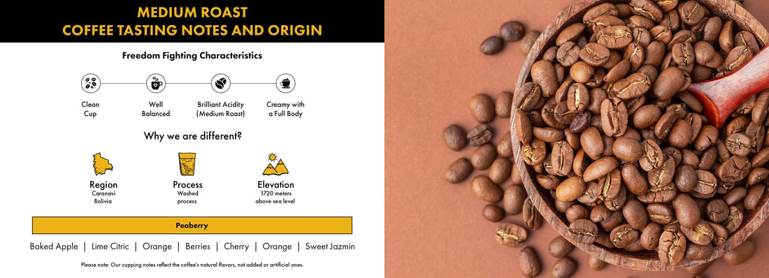 1775 Medium Roast - Premium Coffee Collection | 1775 Coffee Company