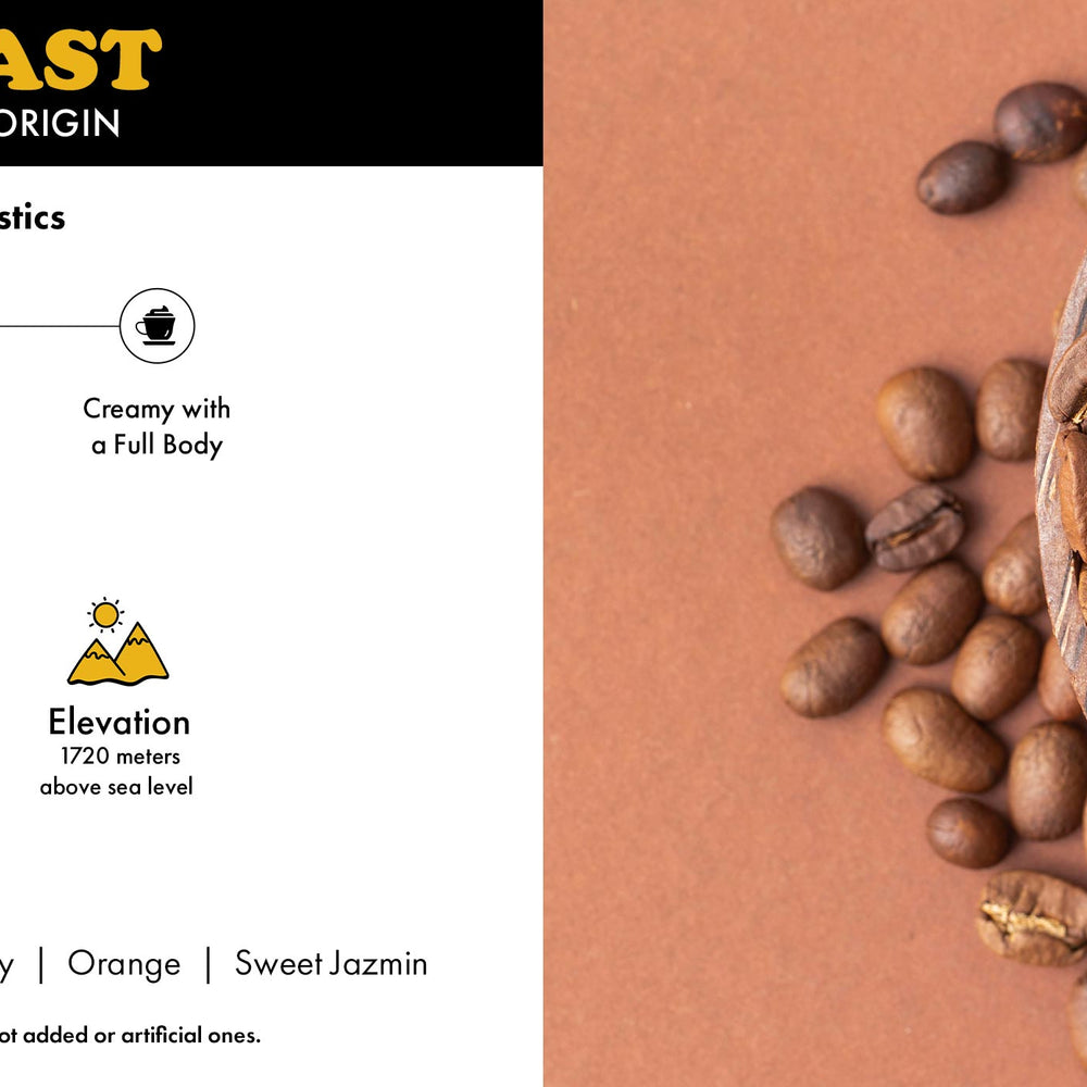 1775 Medium Roast - Premium Coffee Collection | 1775 Coffee Company
