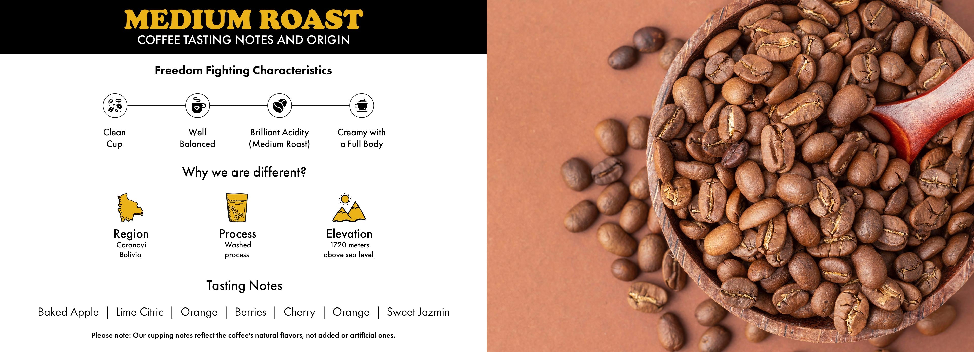 1775 Medium Roast - Premium Coffee Collection | 1775 Coffee Company
