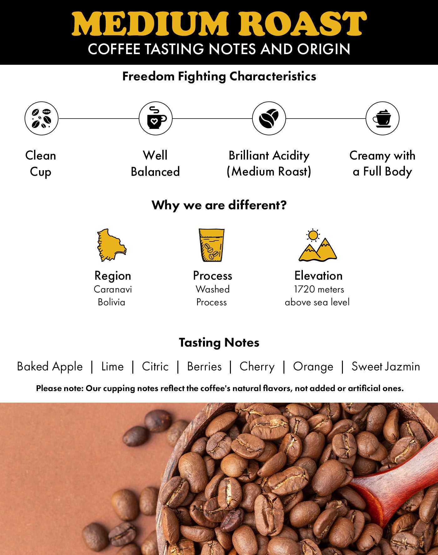 1775 Medium Roast - Premium Coffee Collection | 1775 Coffee Company