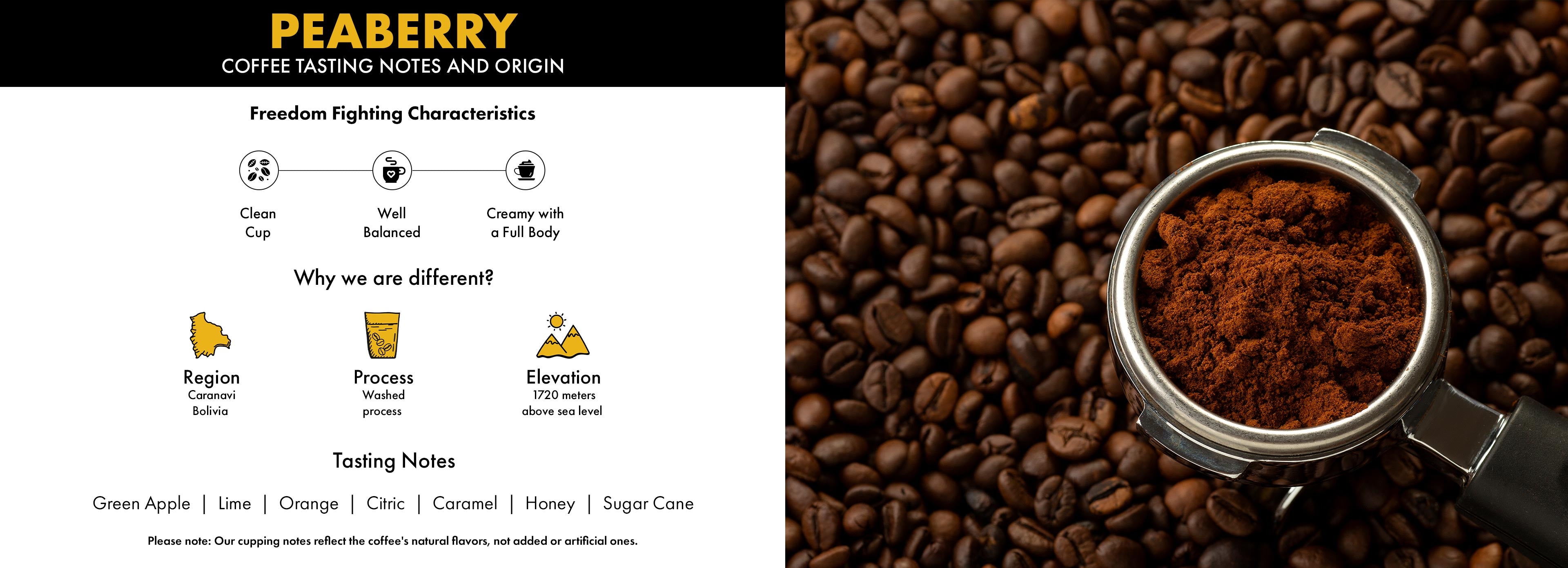 1775 Premium Peaberry Coffee - Dark Roast - 16 Oz. – 1775 Coffee