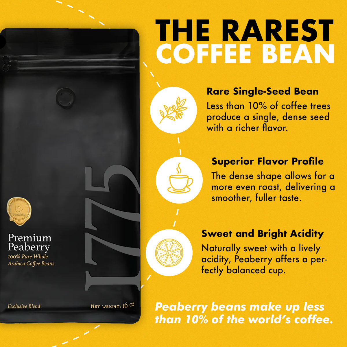 1775 Premium Peaberry Coffee - Dark Roast - 16 Oz. – 1775 Coffee