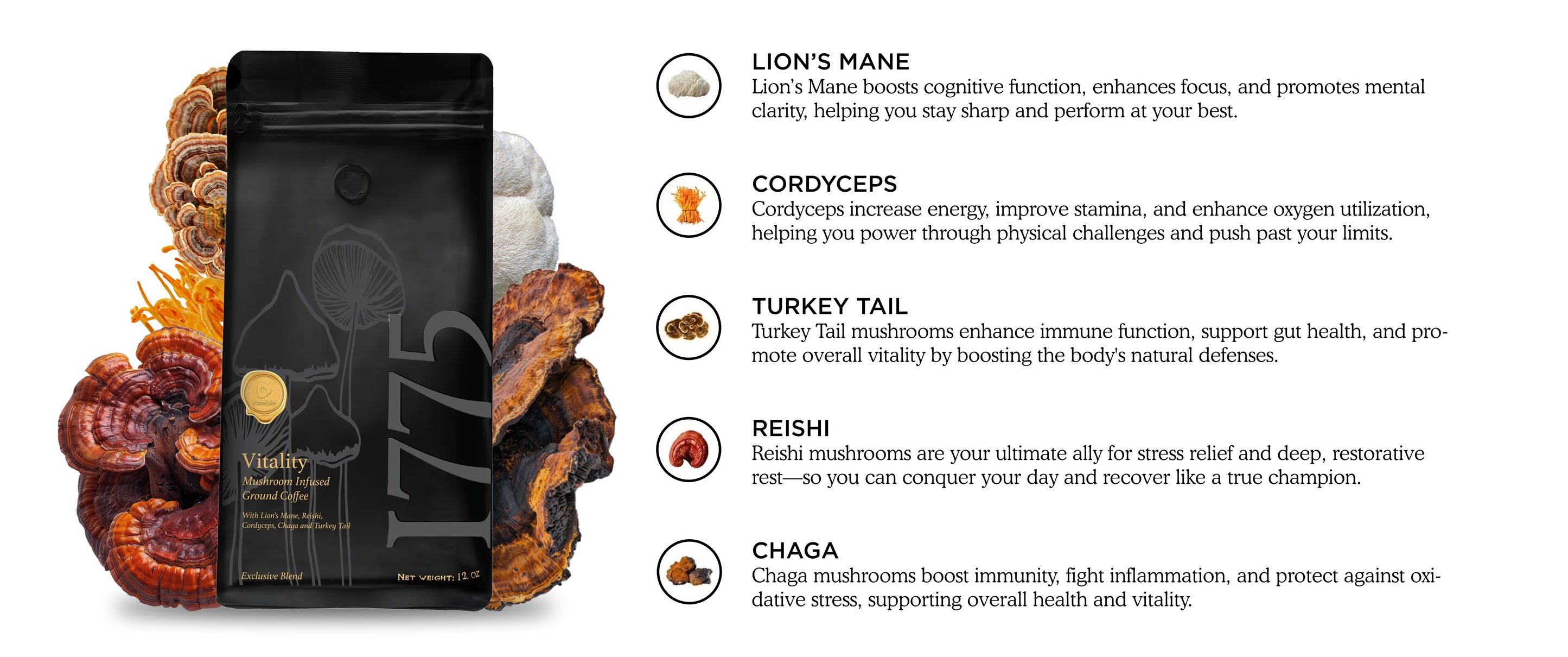 Vitality Mushroom Coffee – 1775 Coffee