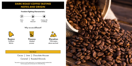 Buy 1775 Dark Roast - 16 Oz. Premium Bolivian Coffee – 1775 Coffee