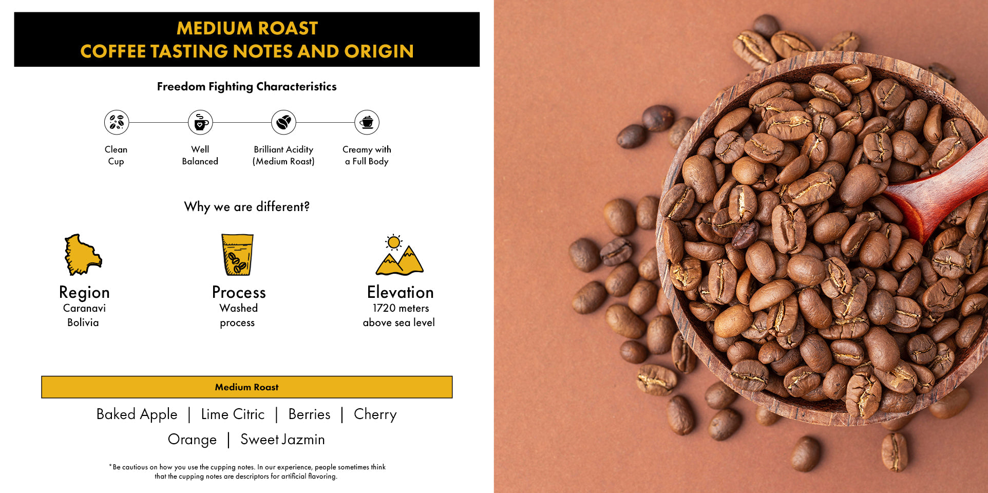 1775 Medium Roast - Premium Coffee Collection | 1775 Coffee Company